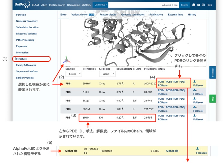関連情報 PDBの使い方 > UniProt経由でPDBファイルをダウンロードする